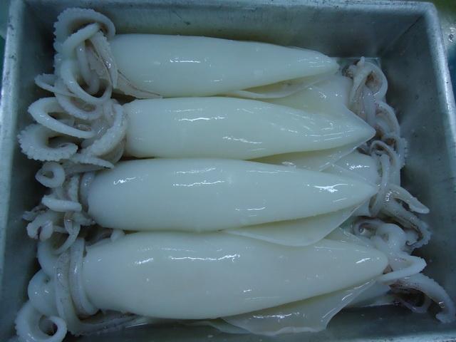 WHOLE CLEANED SQUID
