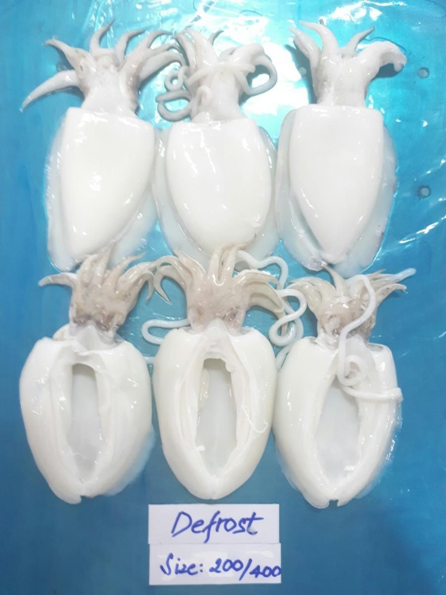 WHOLE CLEANED CUTTLEFISH