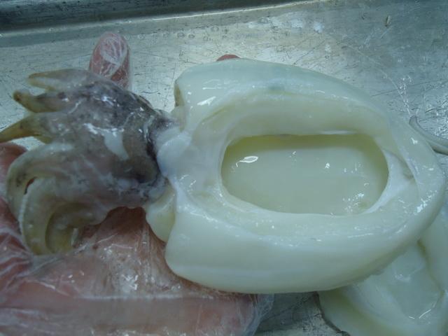 WHOLE CLEANED CUTTLEFISH