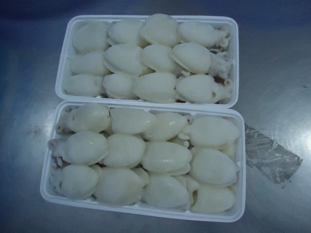 WHOLE CLEANED CUTTLEFISH