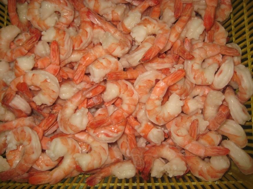 FROZEN COOKED PTO BLACK TIGER PRAWN