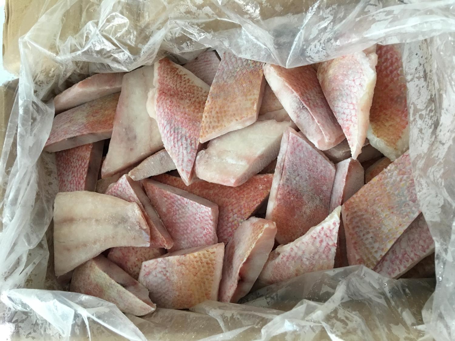 FROZEN SKIN-ON, BONELESS RED SNAPPER FILLET