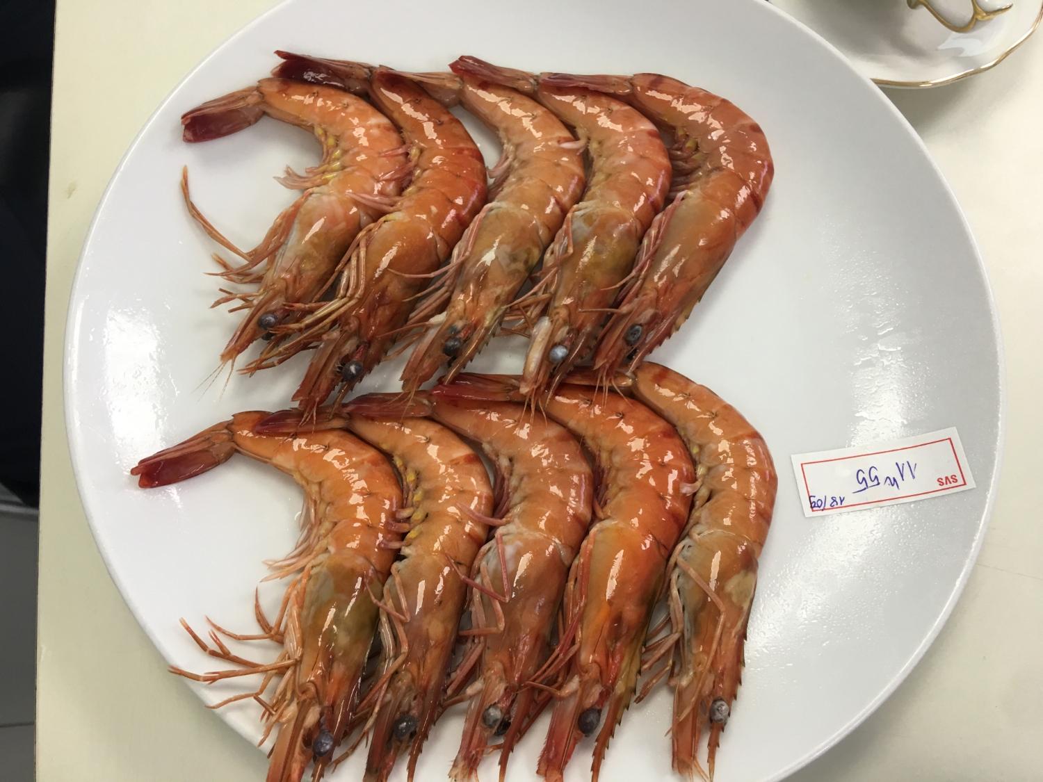 FROZEN COOKED HOSO BLACK TIGER PRAWN