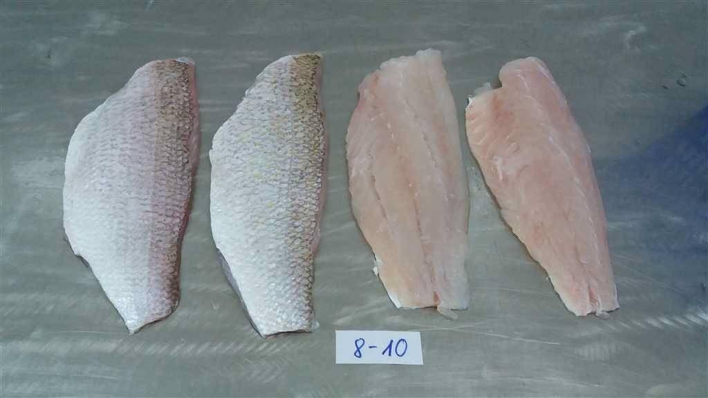 FROZEN SKIN-ON, BONELESS SNAPPER FILLET