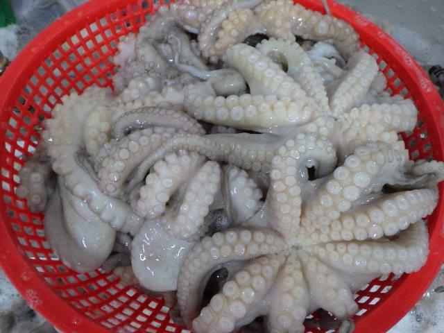 WHOLE CLEANED OCTOPUS